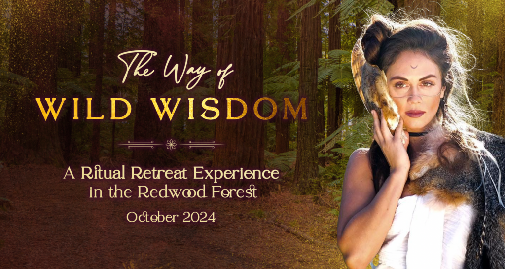 Room Selections | Wild Wisdom Retreat
